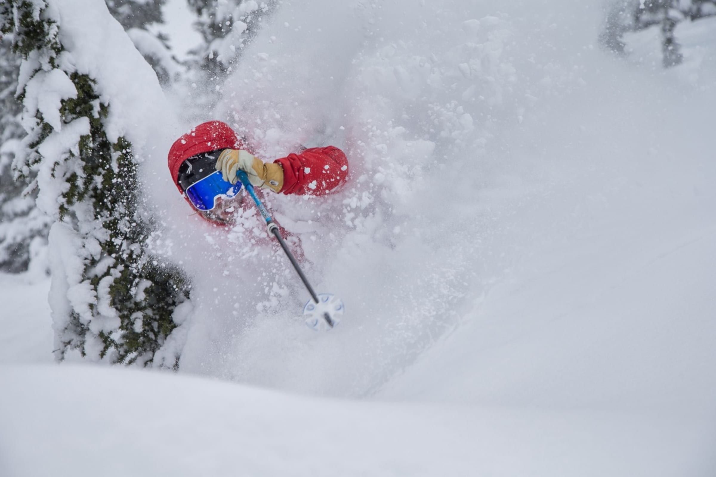 Heliskiing Canada: Northern Escape Heli Skiing - Terrace, British Columbia